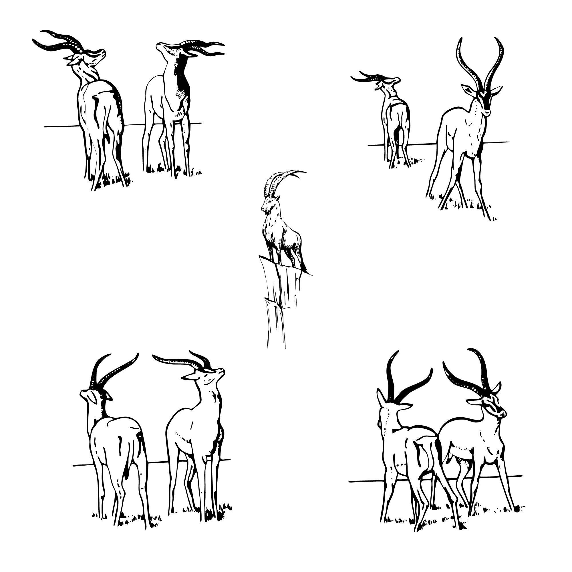 Oryx Svg Bundle, Oryx Clipart for Cricut, Animal Silhouette, Oryx ...