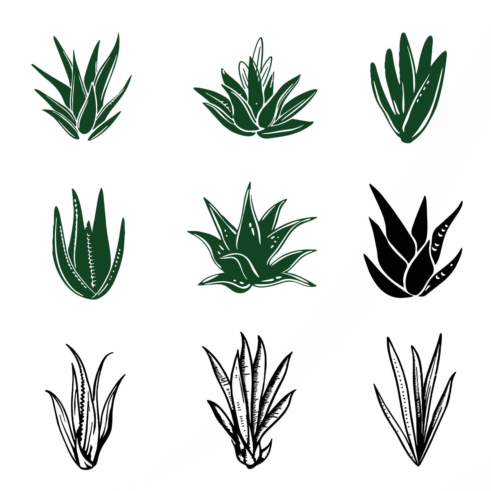 Agave Svg Bundle, Agave Plant Clipart for Cricut, Agave Silhouette ...