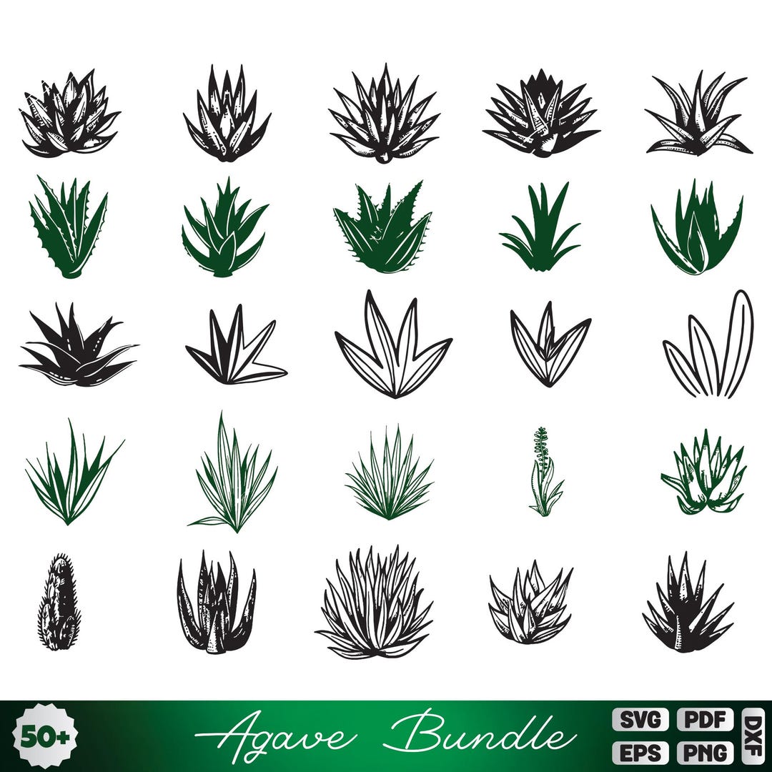 Agave Svg Bundle, Agave Plant Clipart for Cricut, Agave Silhouette ...