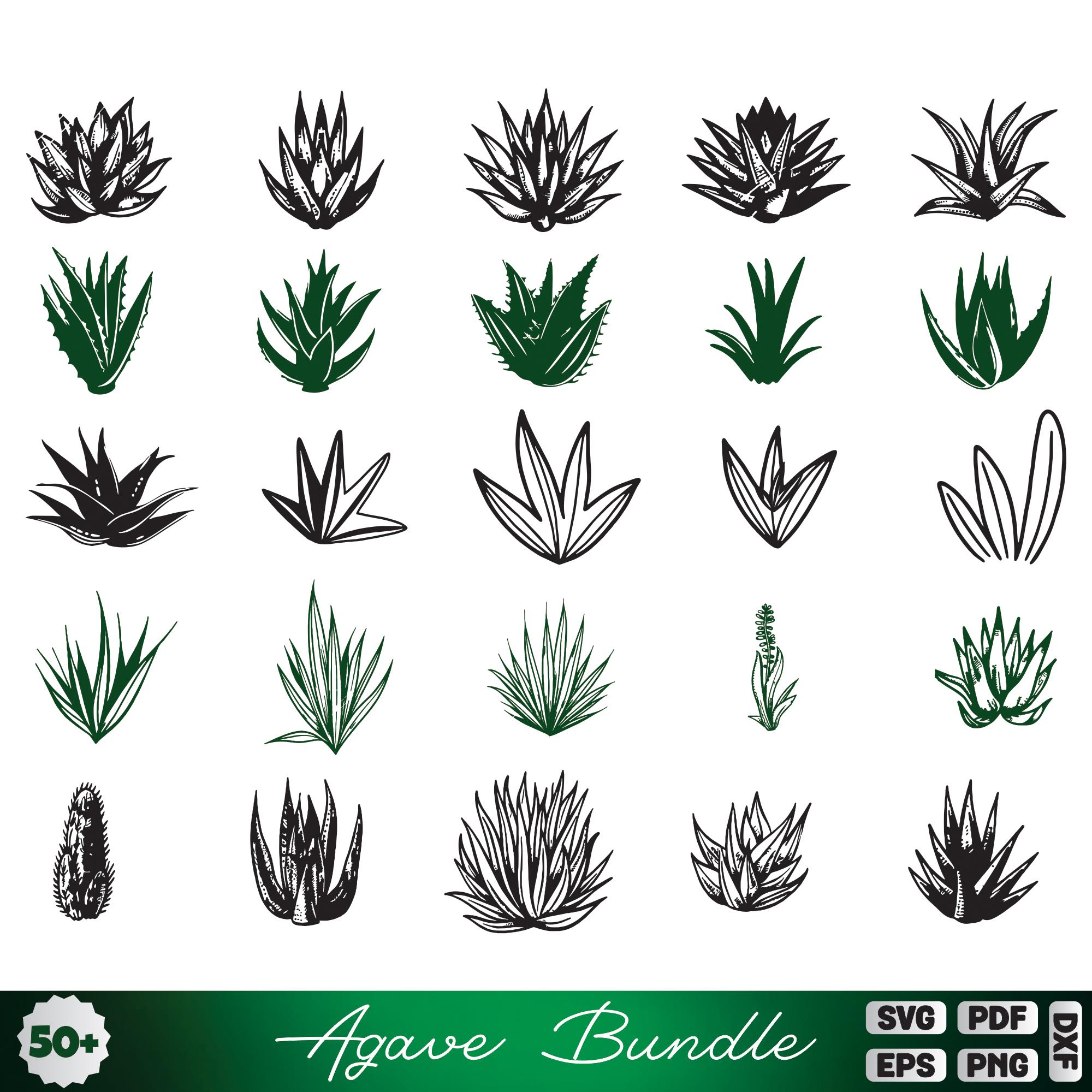 Agave Svg Bundle, Agave Plant Clipart for Cricut, Agave Silhouette ...