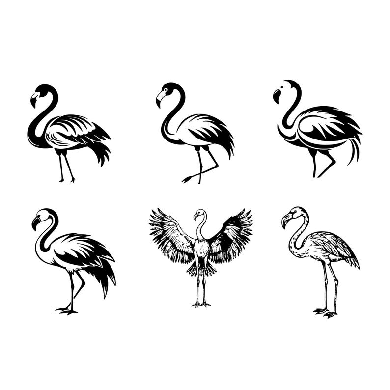 Flamingo Svg Bundle, Flamingo Clipart for Cricut, Cute Flamingo ...