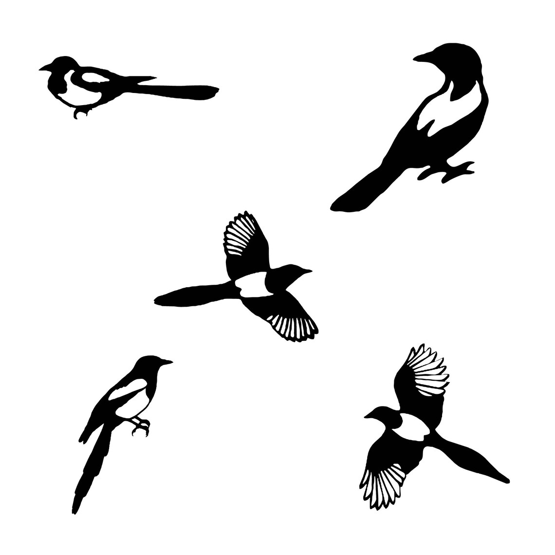 Magpie Svg Bundle, Magpie Clipart for Cricut, Cute Magpie Silhouette ...