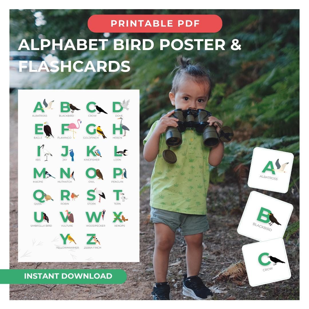 ABC Bird Flashcards & Poster, Printable Alphabet Cards, Preschool ...