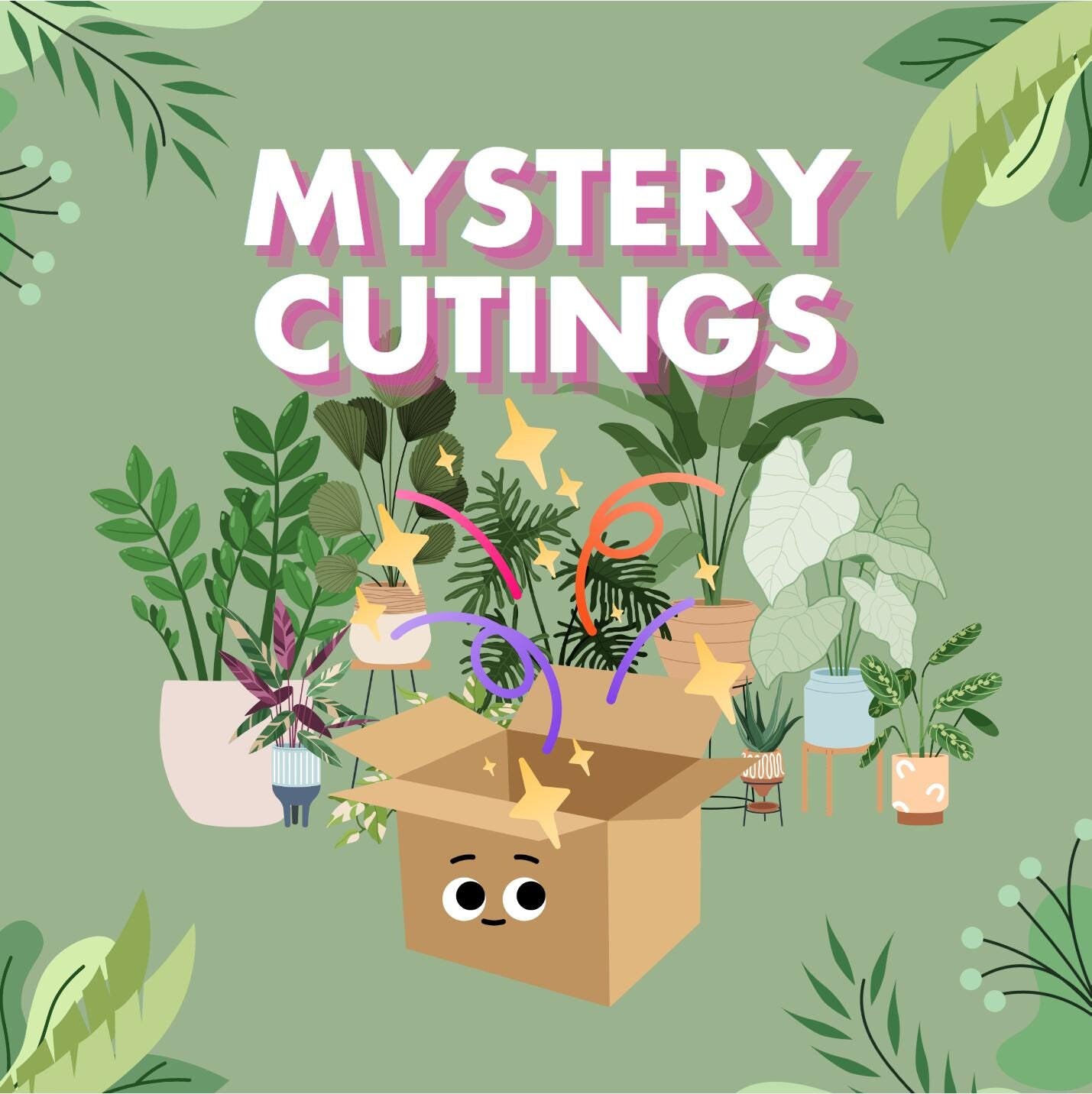 Mystery Clippings Plant Box Cuttings With No Repeats for Propagation - Etsy