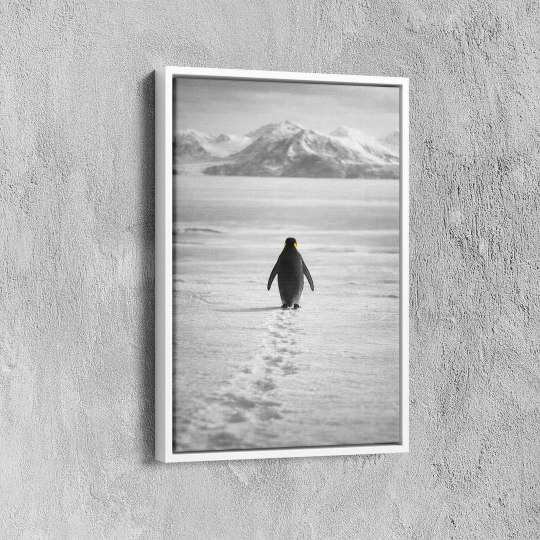 Lone Penguin Poster, Nihilist Penguin Wall Art, Motivational Decor ...