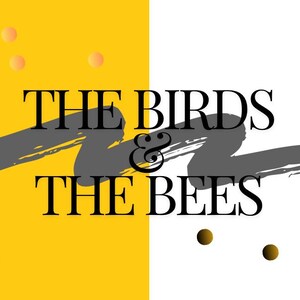 Canva/microsoft PPT Download for “the Talk” | Teen Romance + the Birds ...