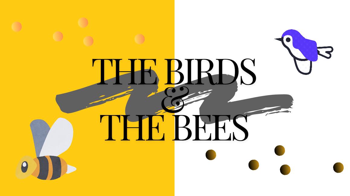 Canva/microsoft PPT Download for “the Talk” | Teen Romance + the Birds ...