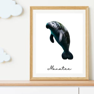Manatee Art Print, Sea Cow Digital Wall Art, Manatee Gift, Ocean Lovers ...