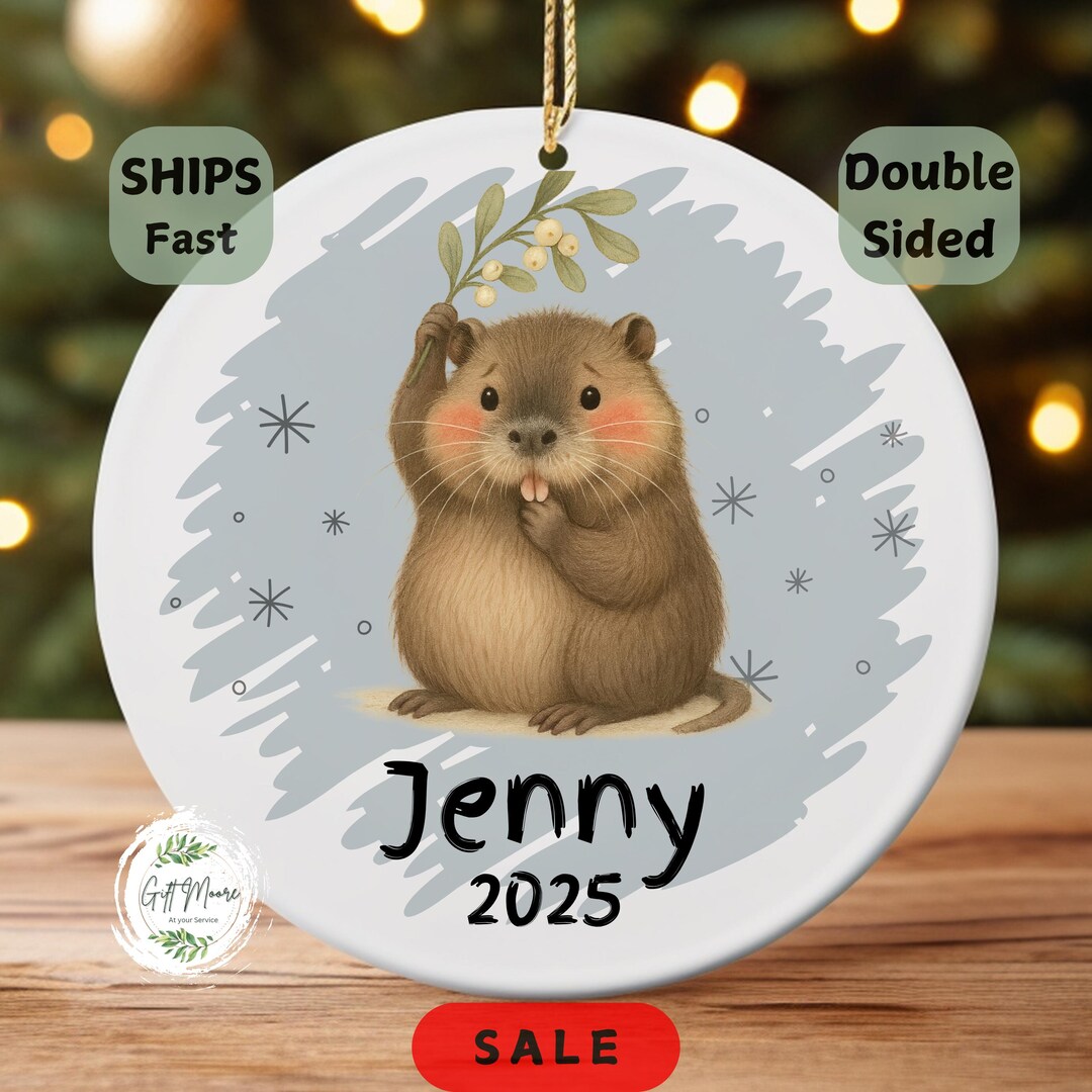 Personalized Cajun Nutria Christmas Ornament: Funny Nutria Gift ORN137 ...