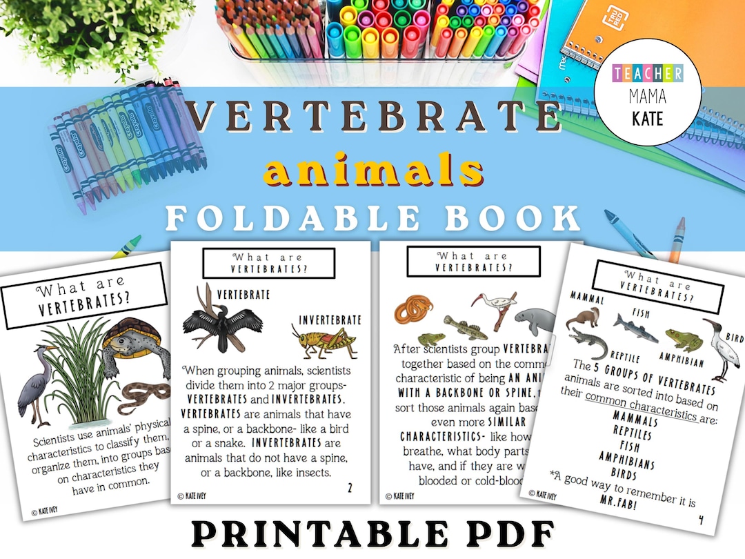 Vertebrate Animals Foldable Book | Science Classification Mini Book ...