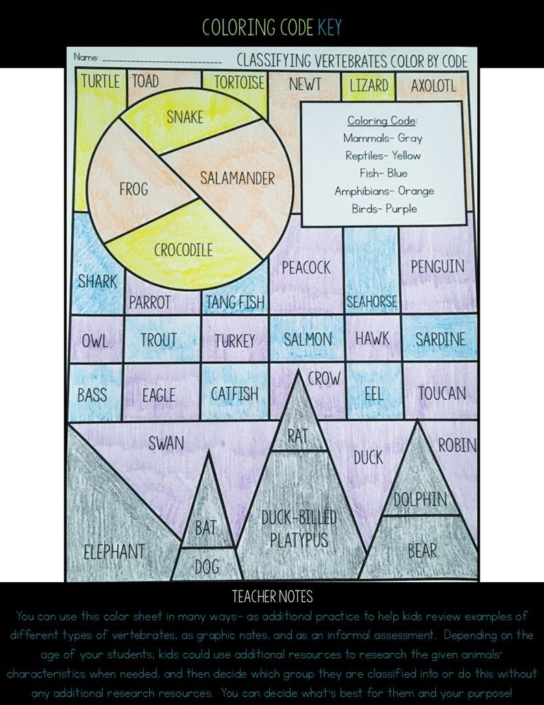 Classifying Vertebrates | Color by Code - Etsy