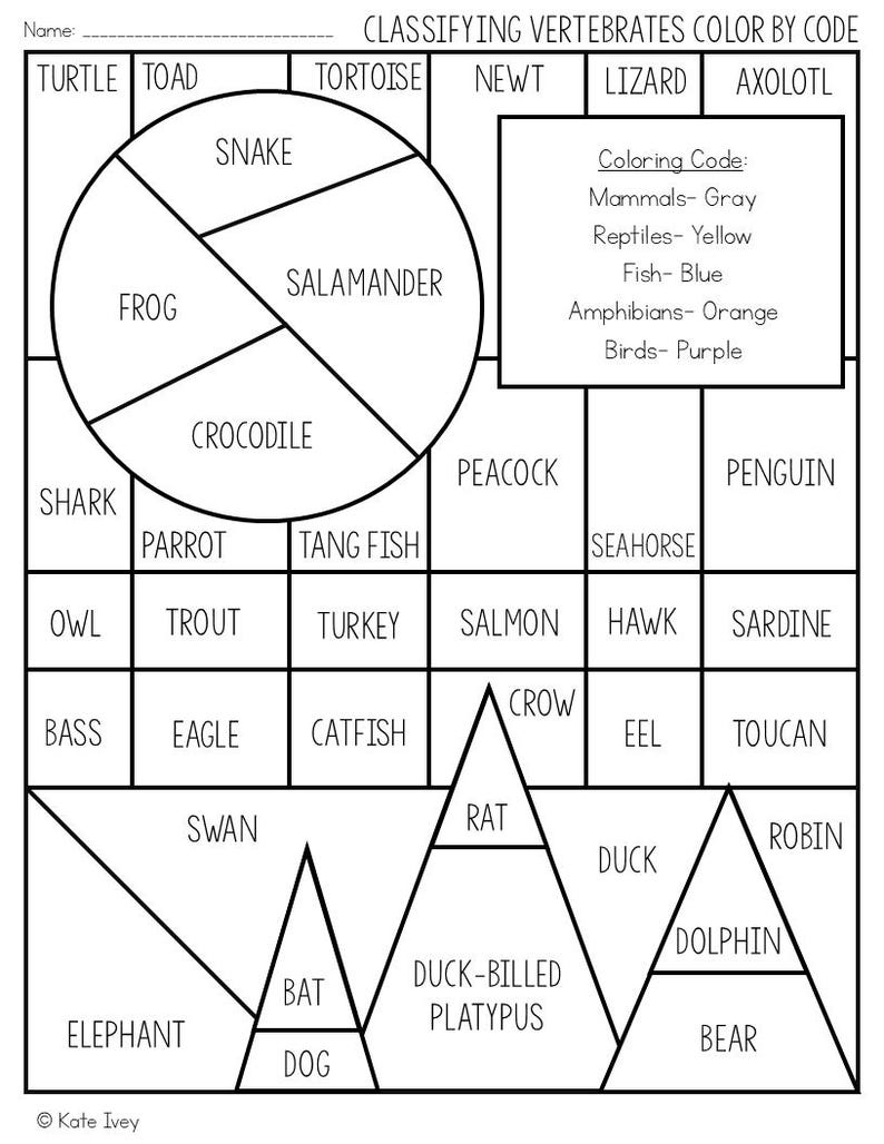 Classifying Vertebrates | Color by Code - Etsy