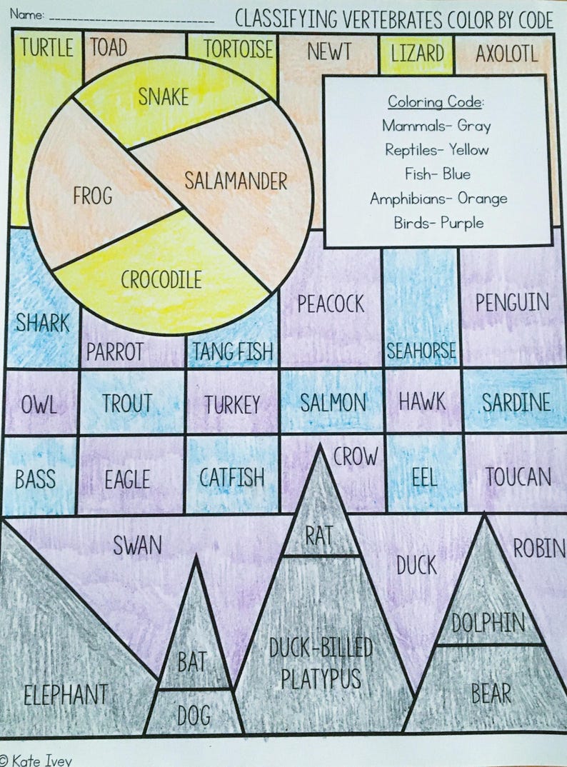 Classifying Vertebrates | Color by Code - Etsy