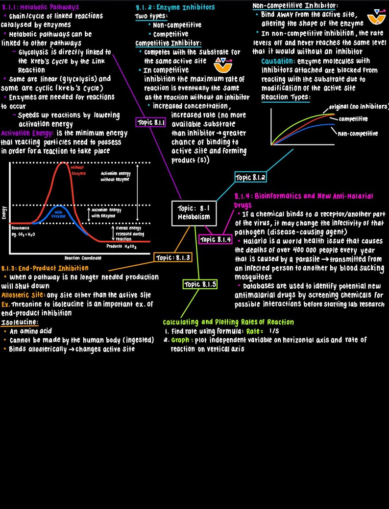 IB Bio: Unit 8.1 - Metabolism (2 PAGES) - Etsy