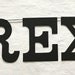 Three Rex Birthday Banner - Glitter 5 Inch Letters - Dinosaur Theme ...