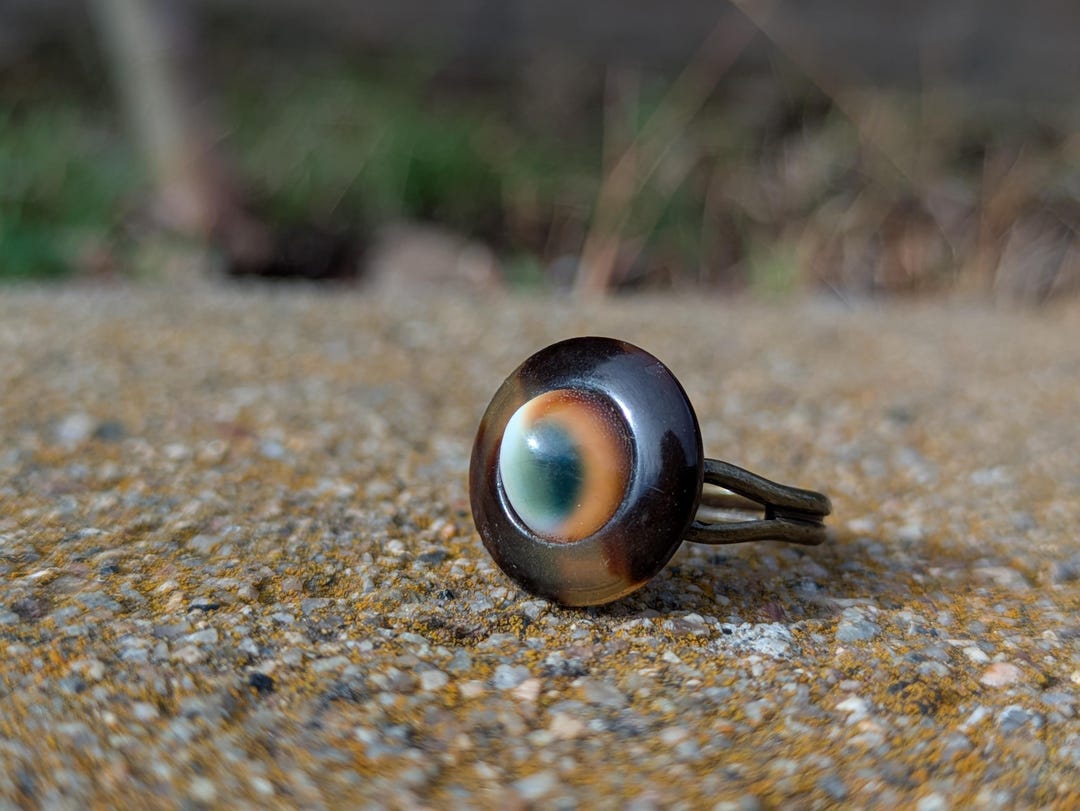 Operculum Shell, Vintage Ring - Etsy