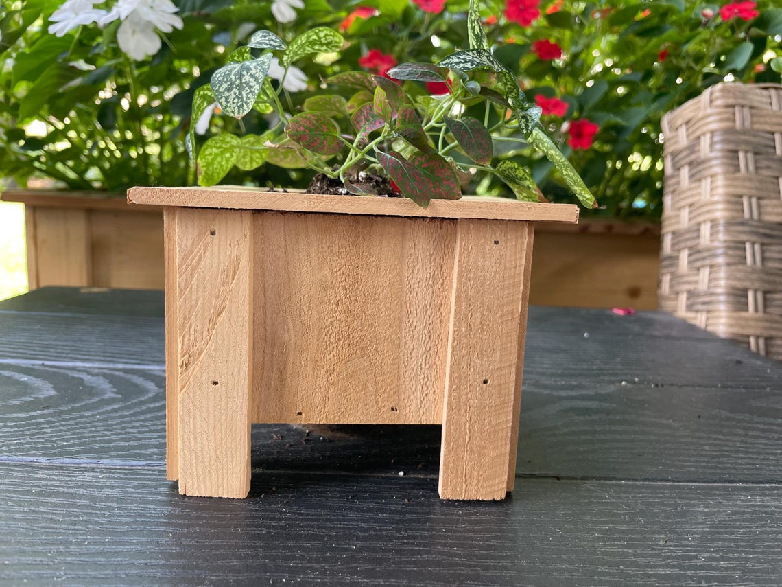 Mini Cedar Planter - Unique - Succulents - Indoor or Outdoor ...