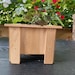 Mini Cedar Planter - Unique - Succulents - Indoor or Outdoor ...