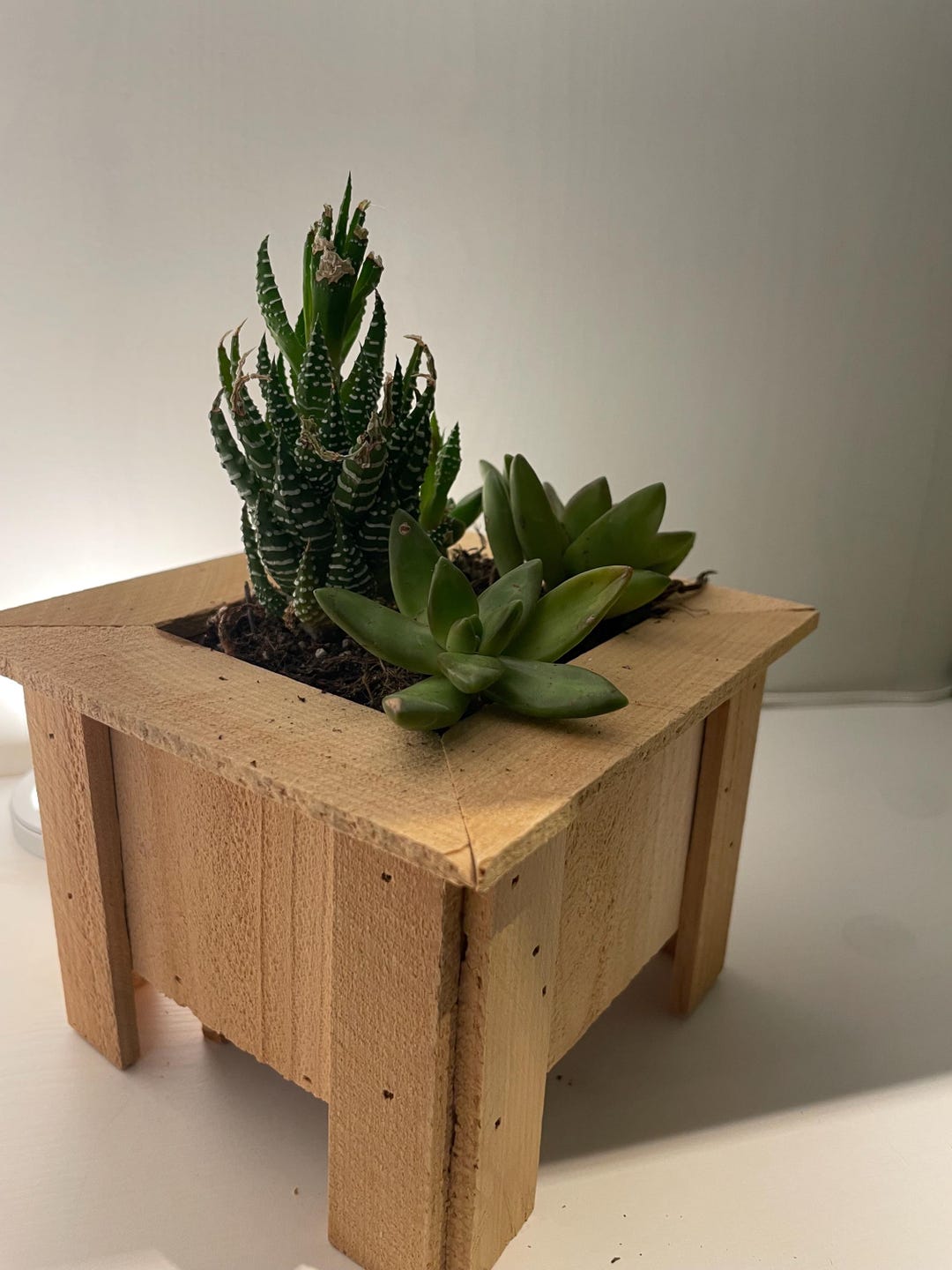 Mini Cedar Planter - Unique - Succulents - Indoor or Outdoor ...