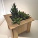 Mini Cedar Planter - Unique - Succulents - Indoor or Outdoor ...