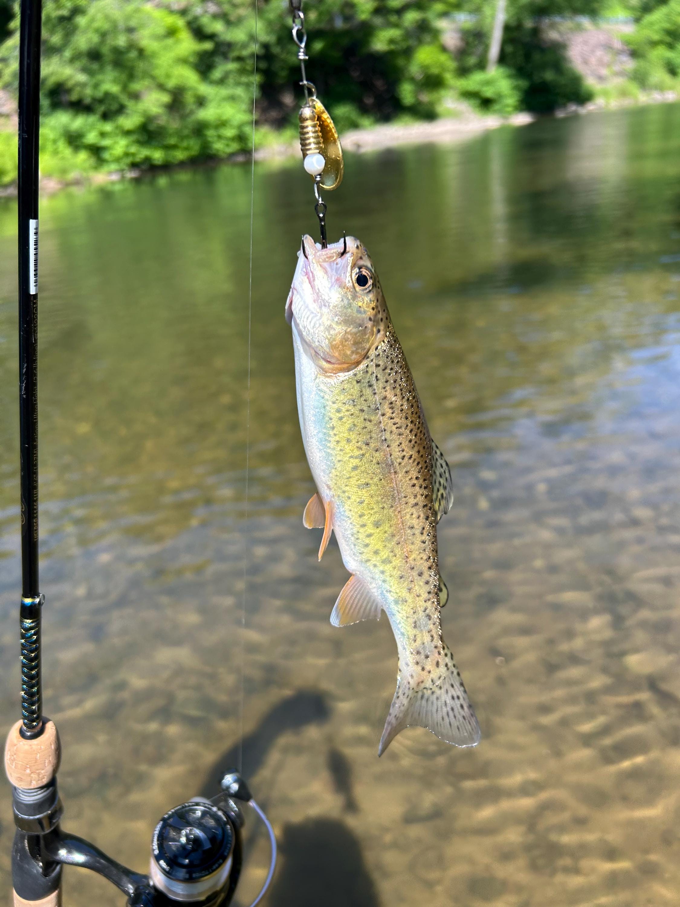 The “original” White Lightning Spinner. Trout, Bass, Panfish Spinning ...