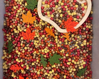 Autumn Garden Blend Sensory Bin Filler Fall Pasta Sensory Bin Filler ...