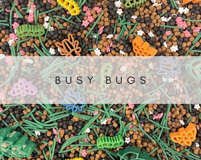 Busy Bugs Sensory Bin Filler - Etsy Canada