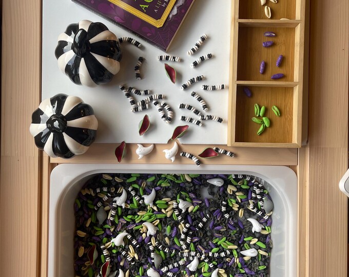 Busy Bugs Sensory Bin Filler - Etsy Canada