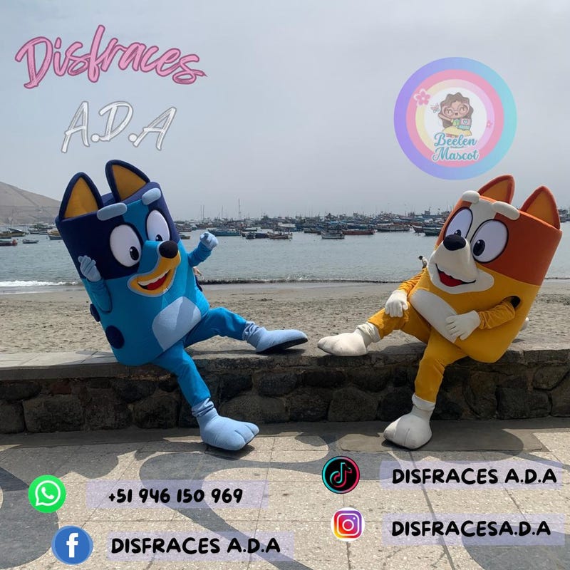 Bluey Costume - Etsy