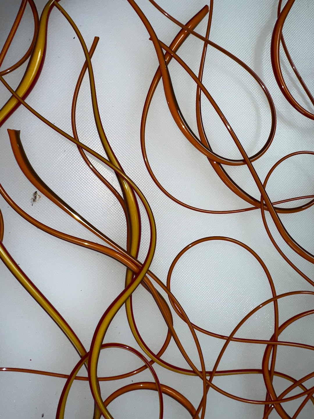 Limited Edition NEW Autumn 1 Four-color Vitrigraph Bullseye Coe 90 ...