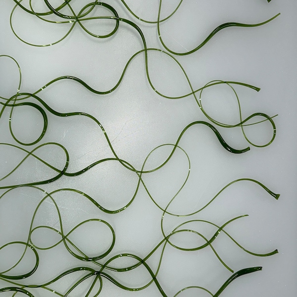 Vitrigraph Glass - Etsy