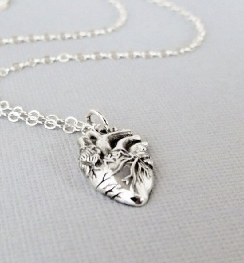 Human Heart Charm Necklace Anatomical Heart Pendant Necklace - Etsy