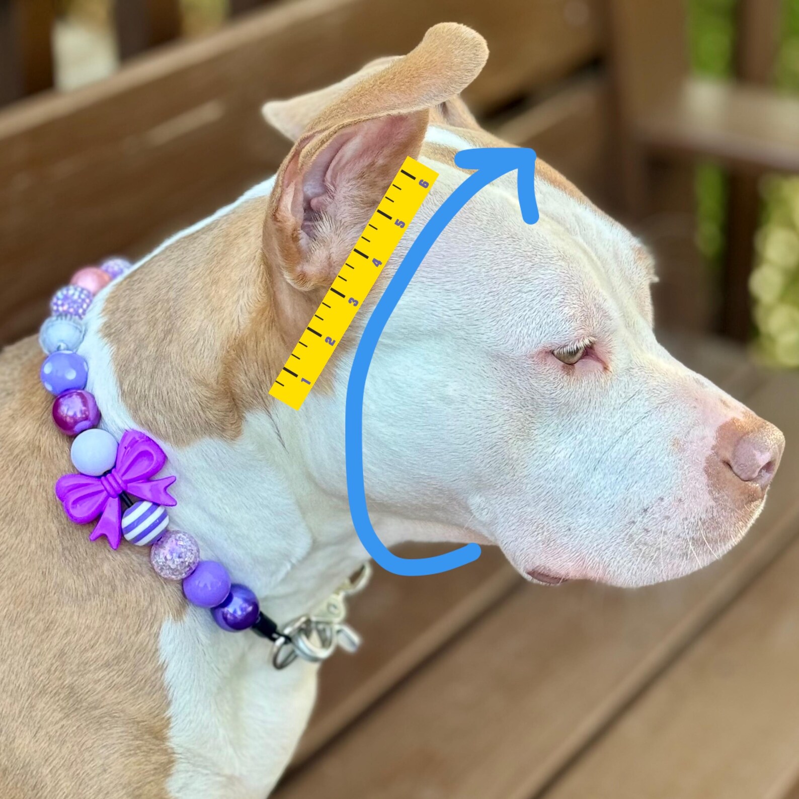 Glow in the Dark Beaded ID Tag Dog Necklace Collar | Made With 15mm ...