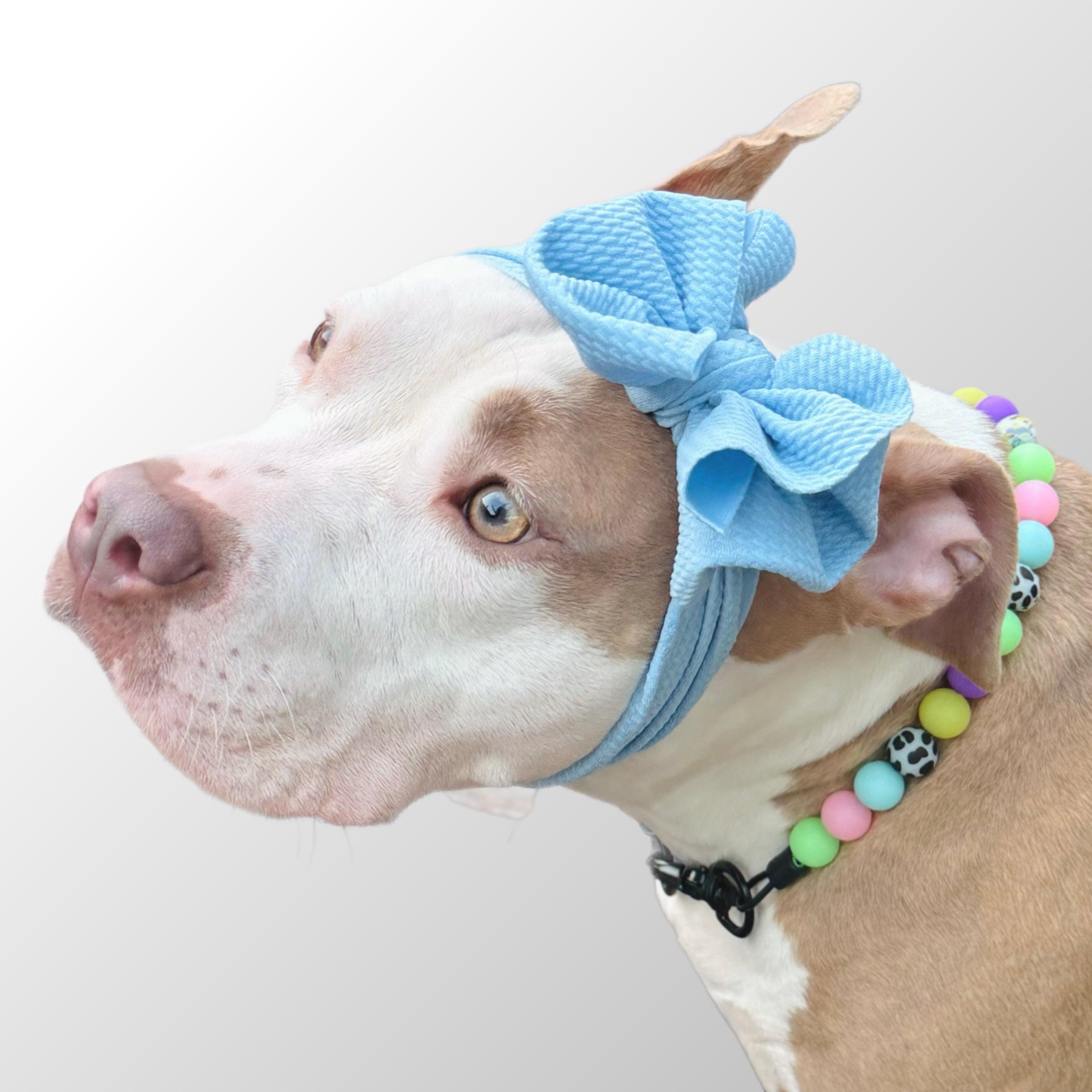 Glow in the Dark Beaded ID Tag Dog Necklace Collar | Made With 15mm ...