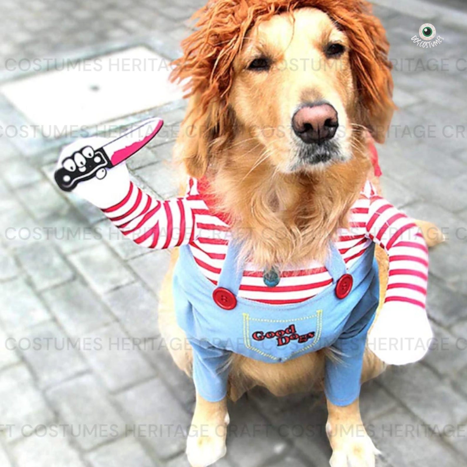 Chucky Dog Costume, Chucky Costume for Dog, Halloween Chucky Dog ...