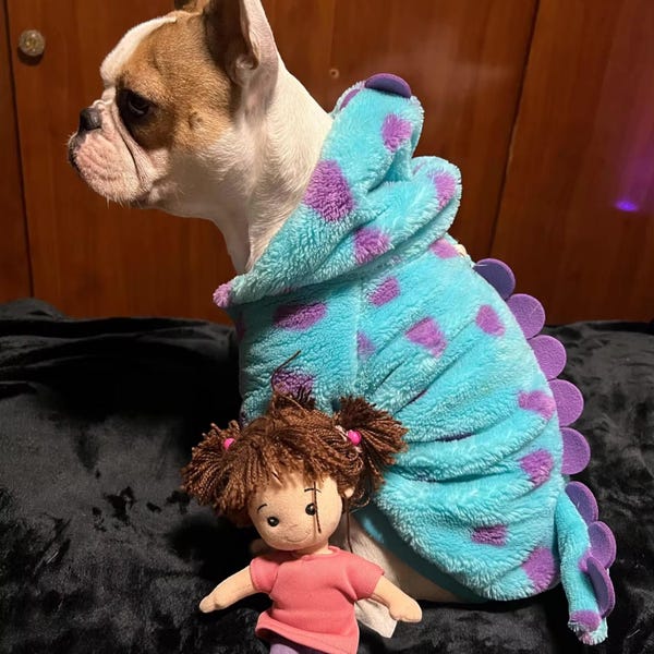 Sully Costume - Etsy