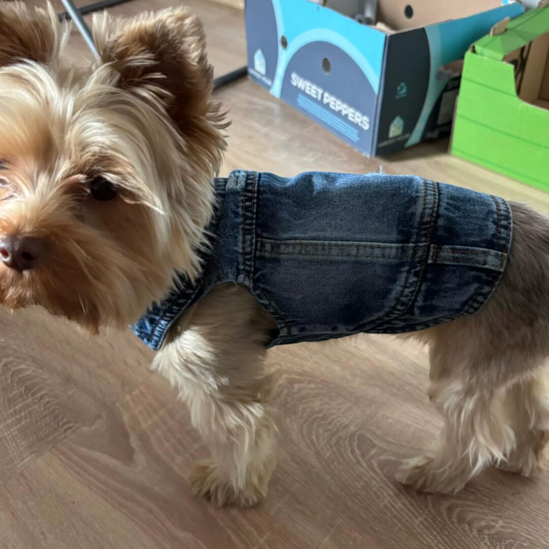 Stylish Dog Jean Jacket, Cute Denim Pet Coat, Small Dogs, Medium Dogs ...