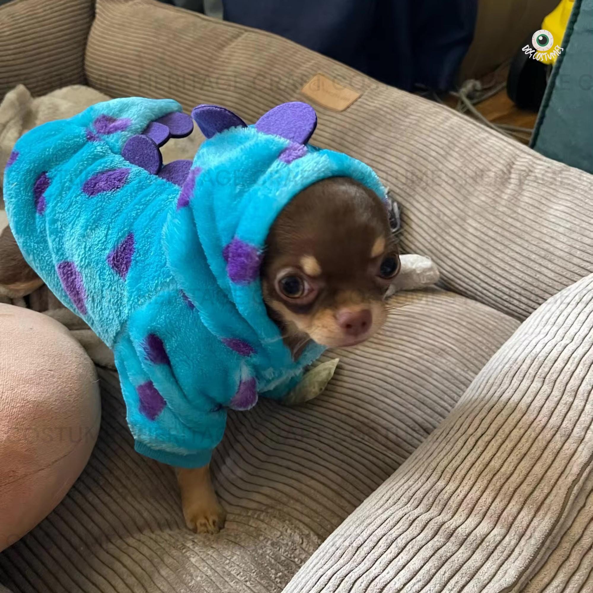 Sully Monsters Dog Costume, Adorable Sully Pet Outfit, Cute Cosplay for ...