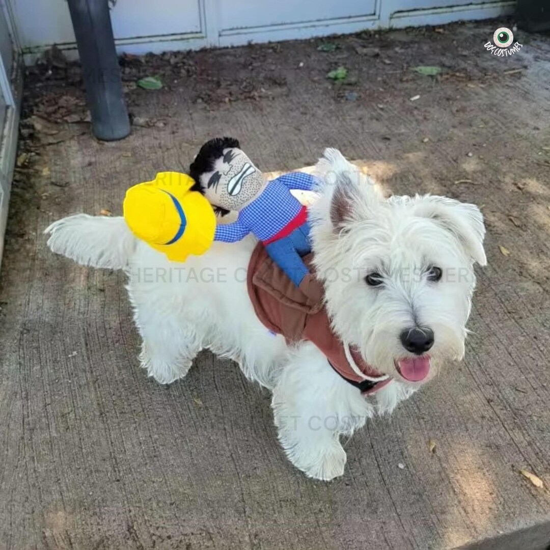 Cowboy Riding Dog Costume, Flannel Dog Outfit - Etsy
