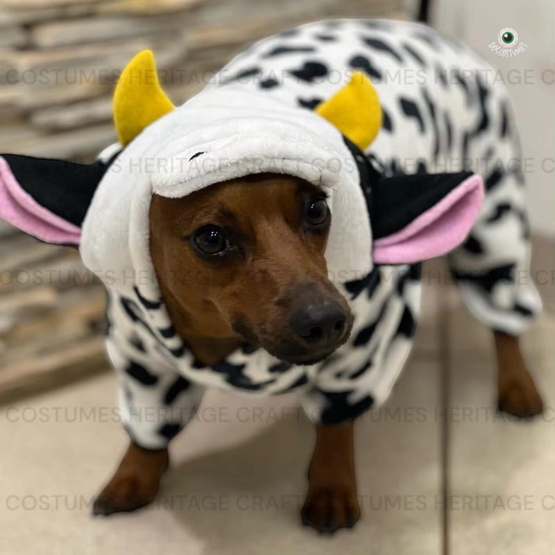 Dog Costumes - Etsy