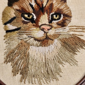 Columbia-minerva "peake" Cat Complete Framed Needlepoint Erica Wilson ...