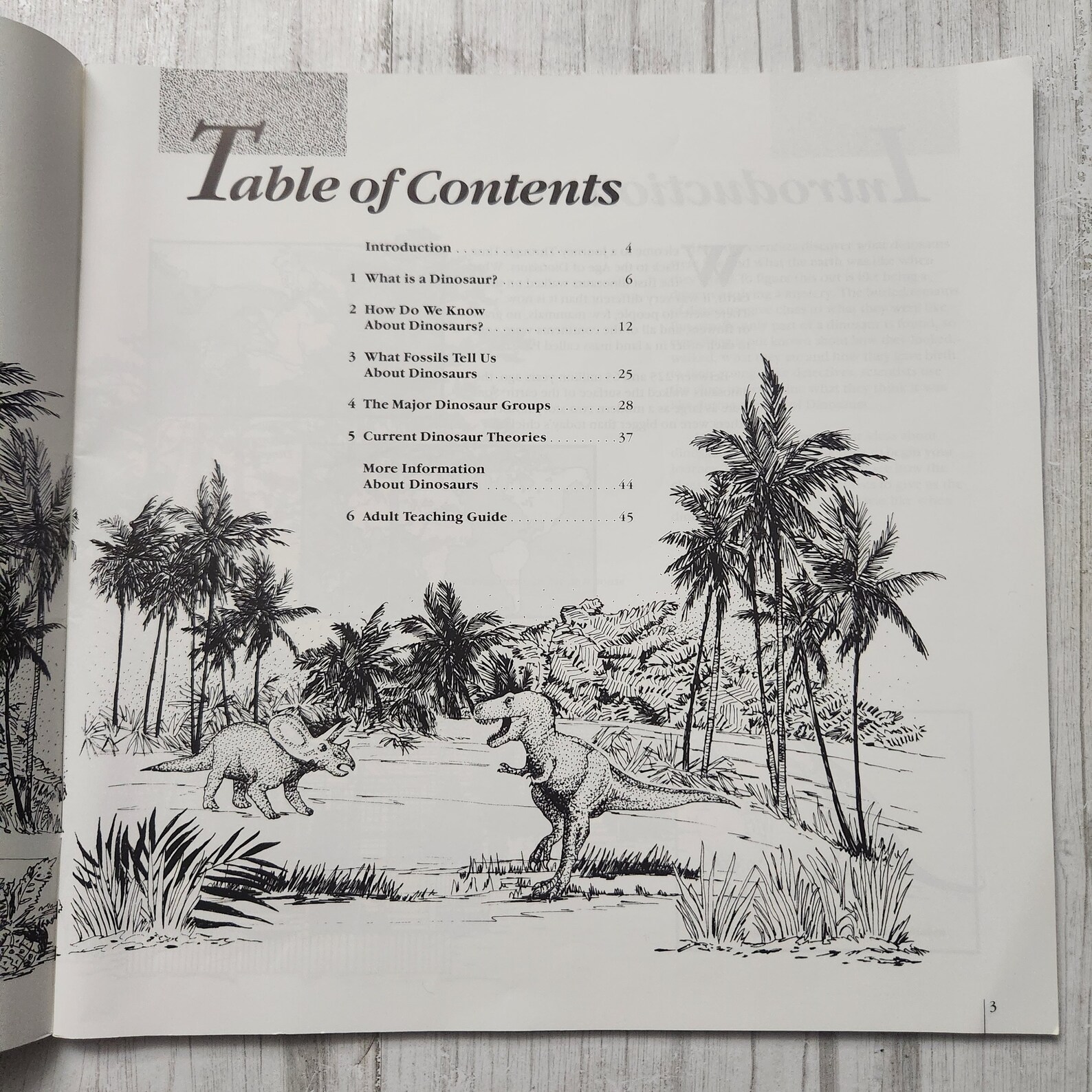 Dinosaur A Journey Through Time Activity Book A Childrens Activity Book ...