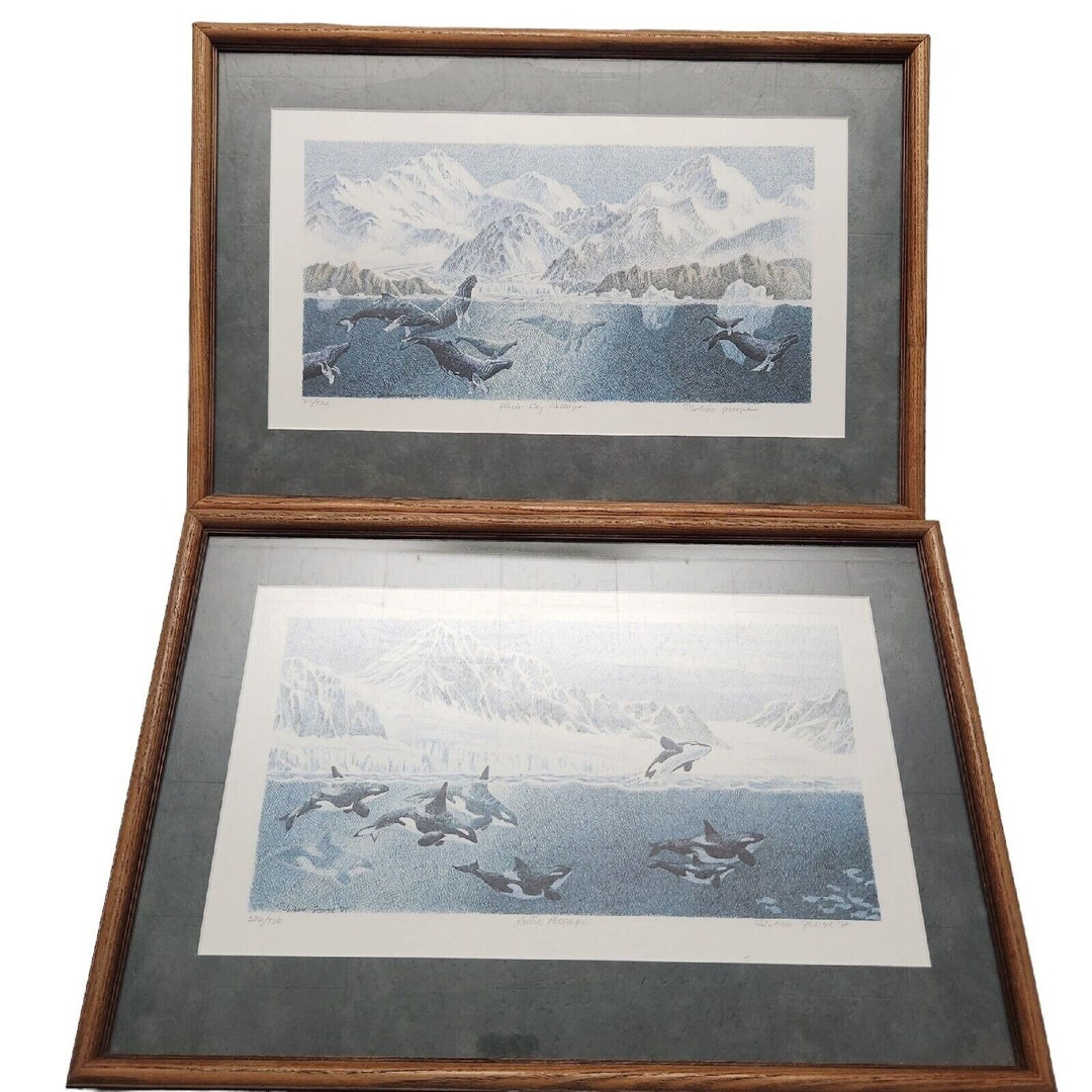 Vintage Orca and Humpback Whales Colored Ink Framed Art Prints Numbered ...