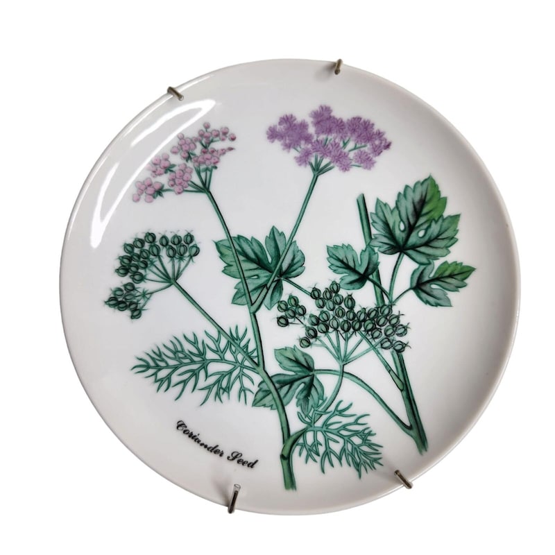 Botanical Plates - Etsy