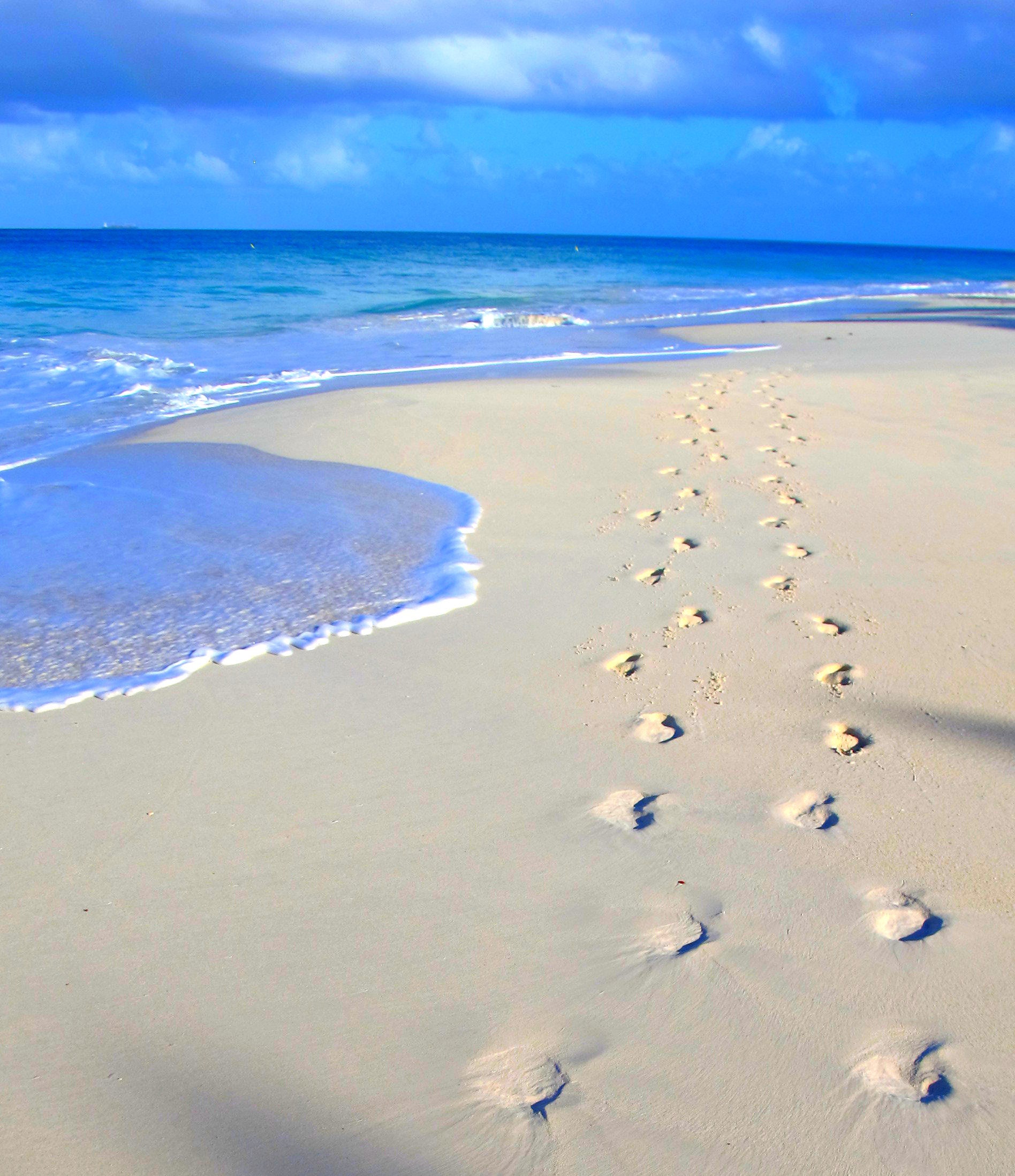 Footsteps - Instant Digital Download, Wall Art, Home Decor, Office ...