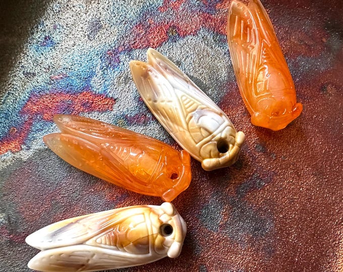 Resin Cicada Pairs Marbled Latte and Carnelian Bakelite-esque Beauties ...