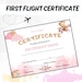 My First Flight Certificate for Kids,editable Travel Keepsake,toddler ...