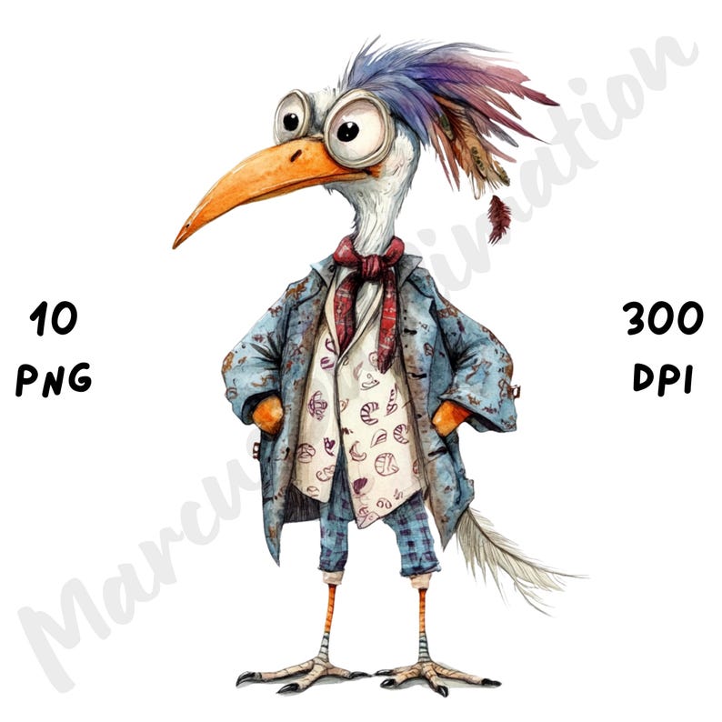 10 PNG Quirky Bird Clipart – Whimsical Funny Cartoon Birds, Crazy Sassy ...
