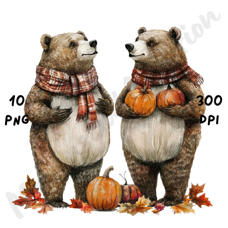 10 PNG Quirky Fall Bears Clipart, Whimsical Funny Autumn Woodland ...
