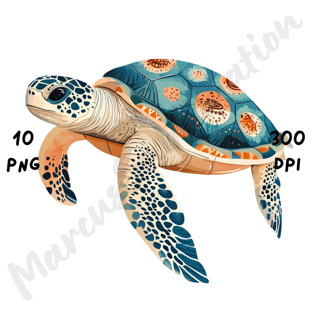 10 PNG Folk Art Sea Turtle Clipart – Watercolor Scandinavian Summer ...